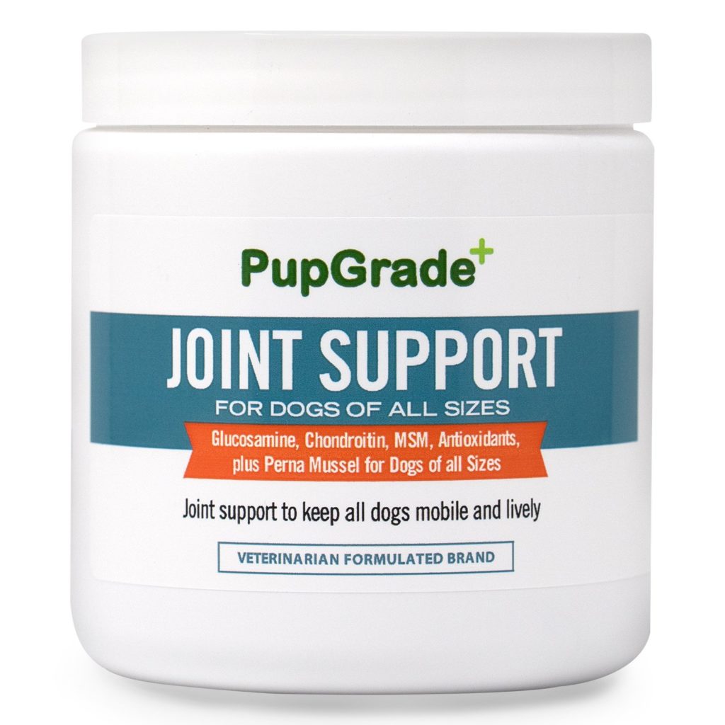 Top 5 Joint Supplements For Dogs in 2023 | PupGrade Blog